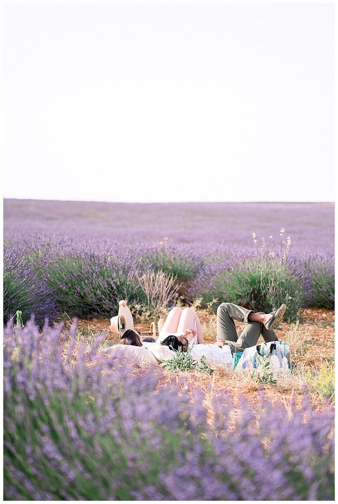 Proposal engagement photo session in the lavender fields at Valensole - Provence - France ...